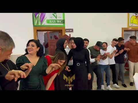 Koma Erkan 2023 4K VİDEO | Canlı Performans • Miray Medya