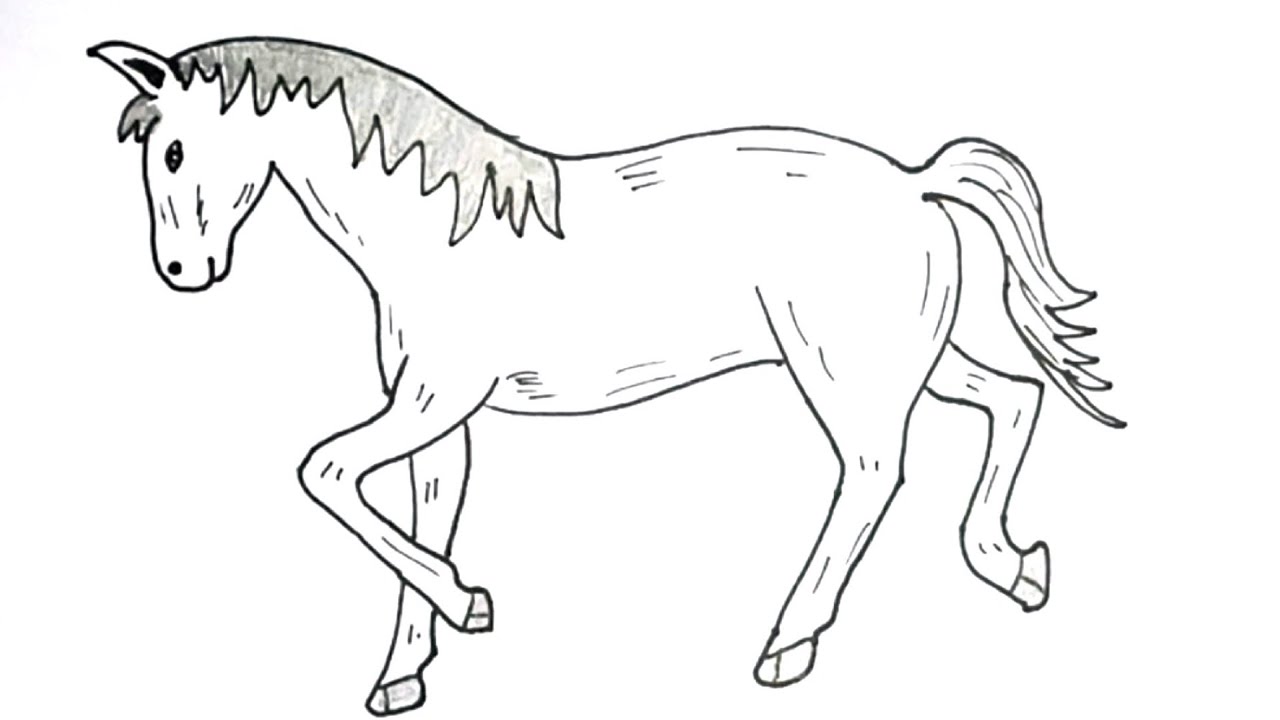 घोड़ा का चित्र बनाना सीखें | How to Draw Horse step by step for ...