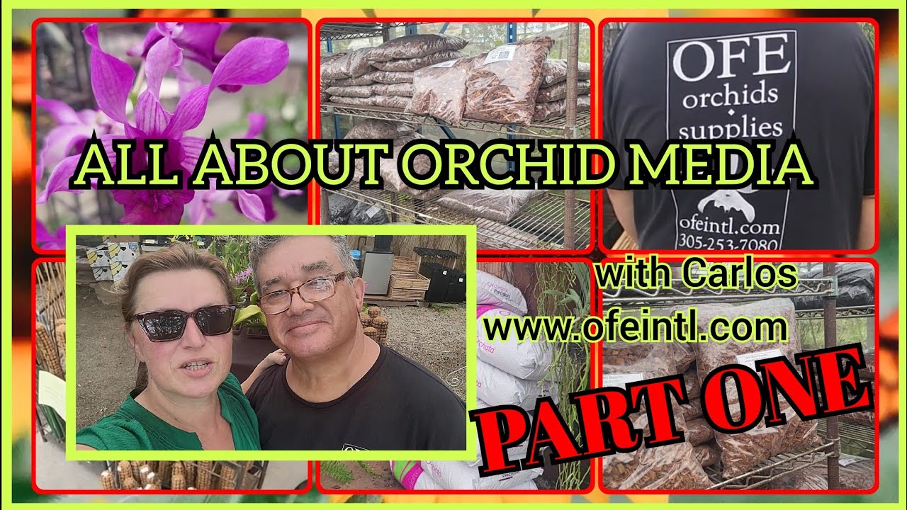 ALL YOU NEED TO KNOW ABOUT ORCHID MEDIA.YOU DONT WANT TO MISS IT! with ...