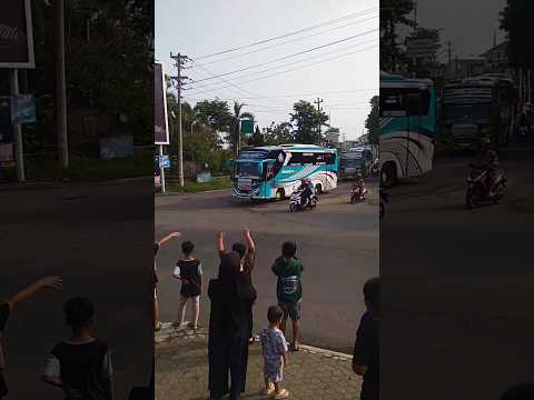 PERANG TELOLET BASURI PRADANA TRANS PAPA & MAMA MUDA FEAT AWAN ABADI #jetbus5 #feedshorts #basuri