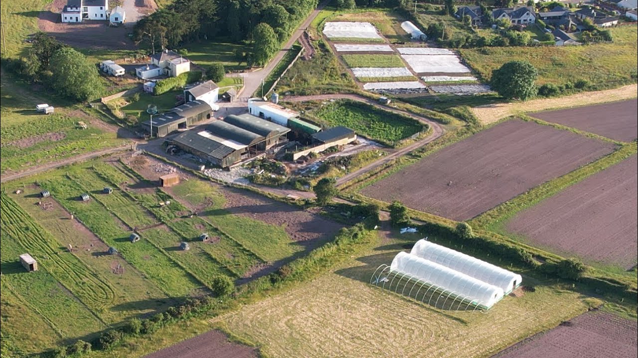 June Farm Update - YouTube