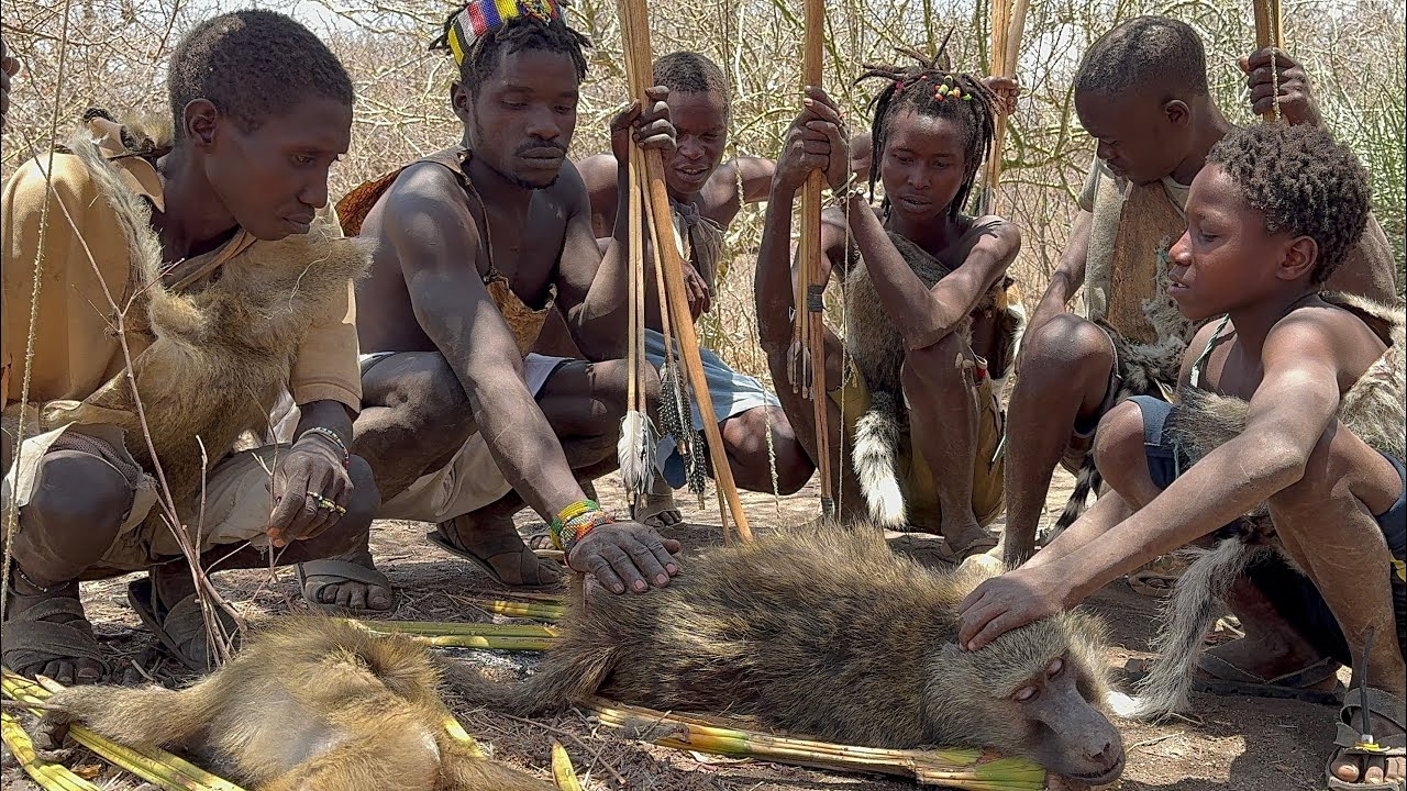 African bushmen hunting tradition, cooking in the bush - YouTube