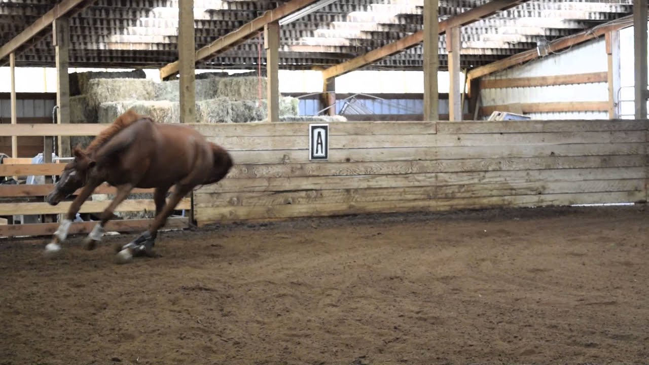 4 yo mare jump chute April 2015 - YouTube