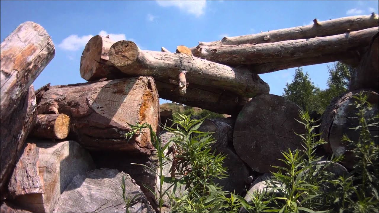 Flag Raiders - Apocalypse Now VI - YouTube