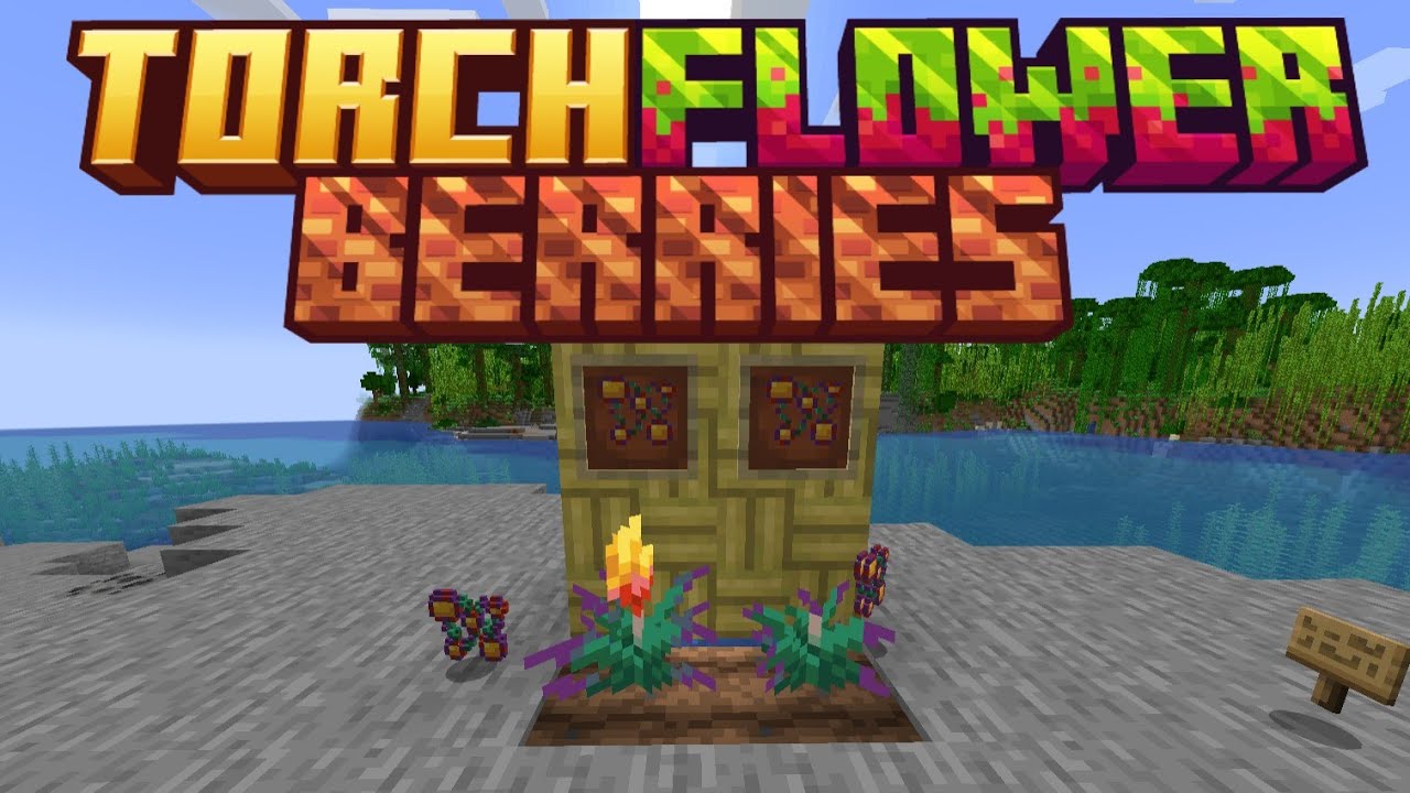 Torchflower Berries Concept For Minecraft 1.21! New Food From The ...