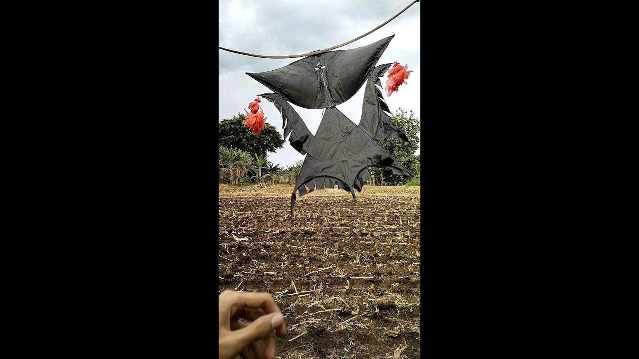 Layangan Sowangan kecil 01 - YouTube