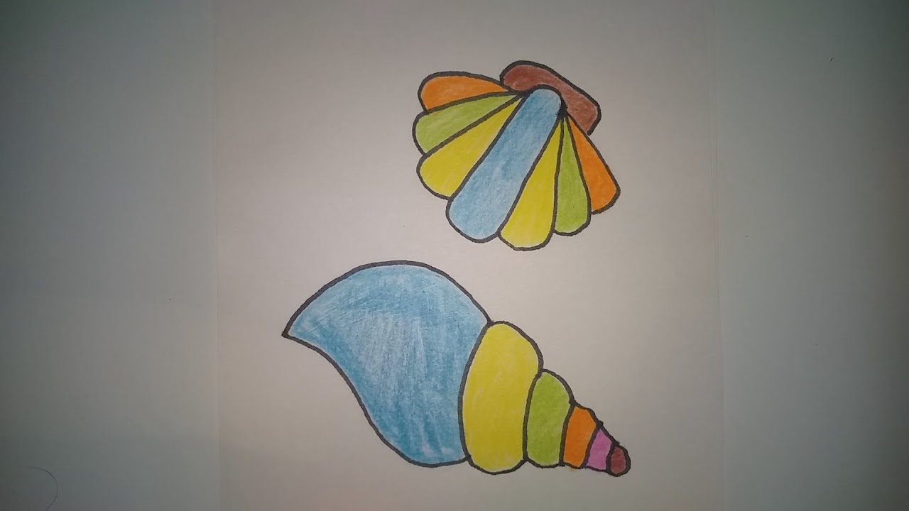 How to draw and color seashells / How to draw a seashell easily step by ...
