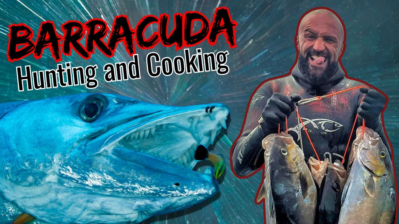 How to hunt and cook BARRACUDA | Gui Bruges - YouTube