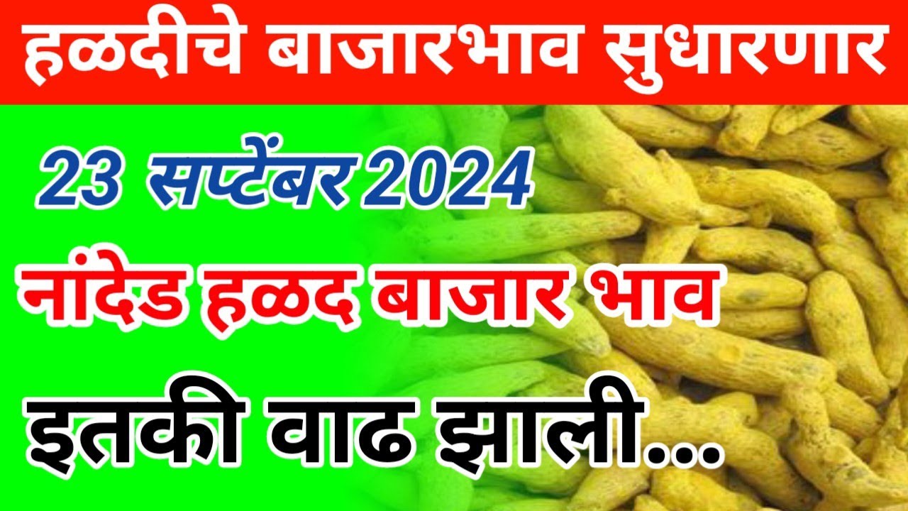 🔴 हळद बाजार भाव सुधारणार | Halad Bajar Bhav | आजचे हळदीचे बाजार भाव ...