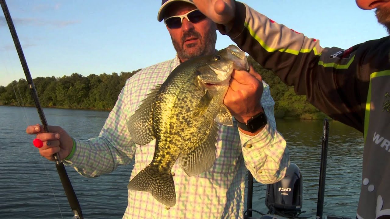 Crappie on Kinkaid Lake, IL - YouTube