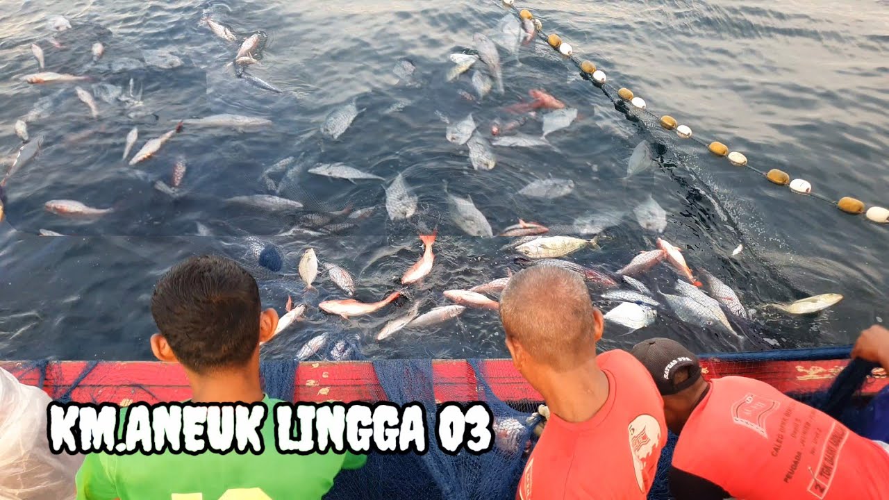 Begini Proses Penangkapan Ikan di Karang Dalam Dari Awal Sampai akhir ...