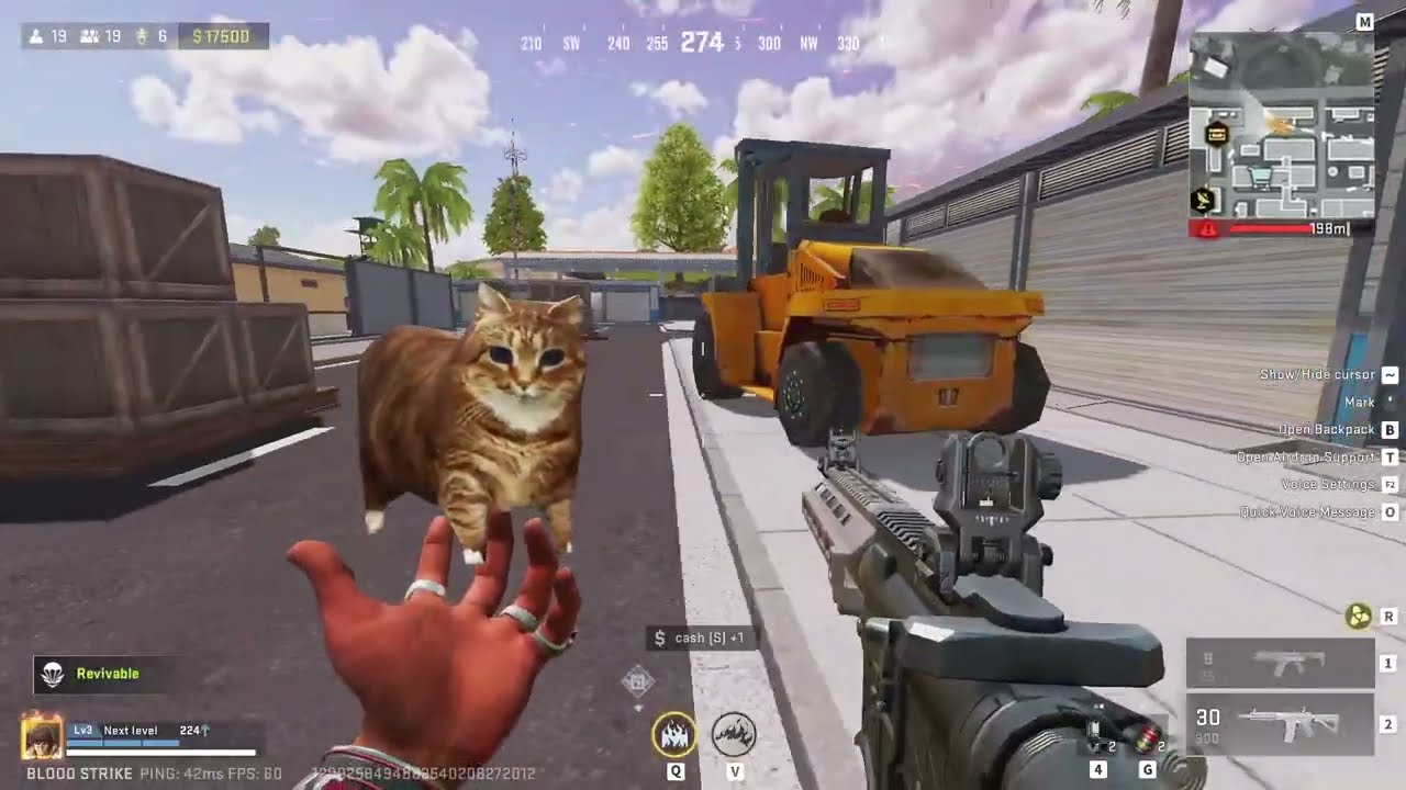 BLOODSTRIKE FPS Battle Royale live Gameplay @hardshooter - YouTube