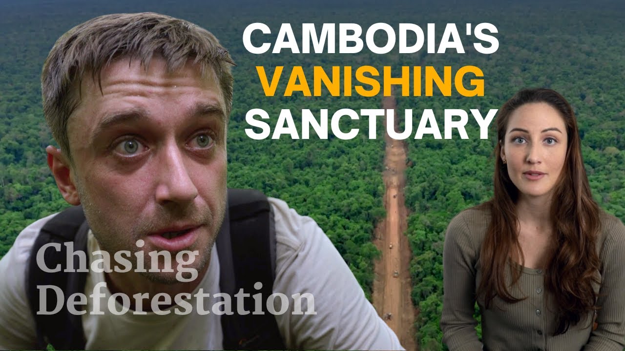 The truth about Cambodia’s Prey Lang sanctuary | Chasing Deforestation ...