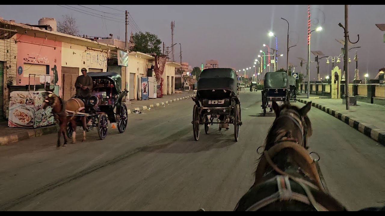 Horse & Carriage Ride to the Temple of Horus at Edfu - Egypt Nov 2024 ...