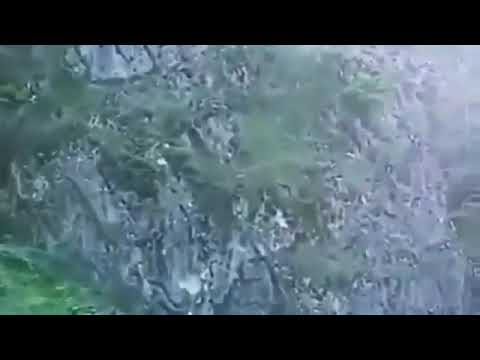 Anka Kartalı Fragman 2020