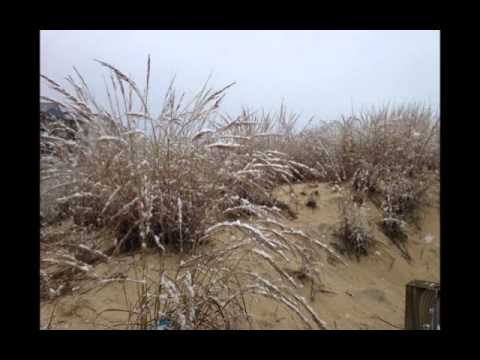 Beach Retreat 11 2014 SD 480p - YouTube