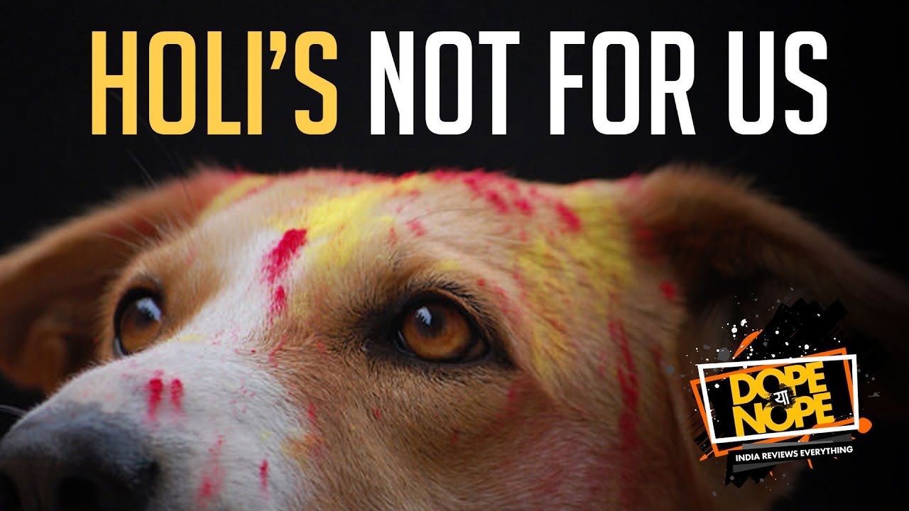 Keep Animals Safe This Holi YouTube keep-animals-safe-this-holi-youtube