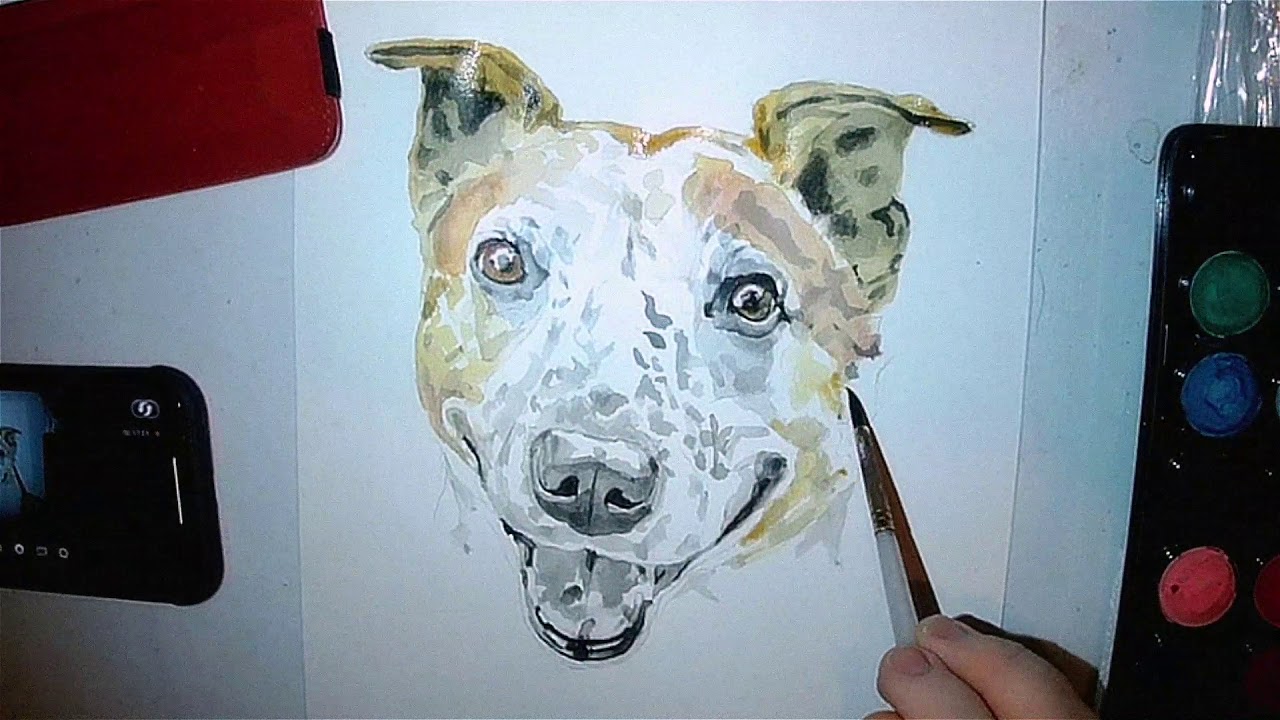 Millie the Dog - YouTube