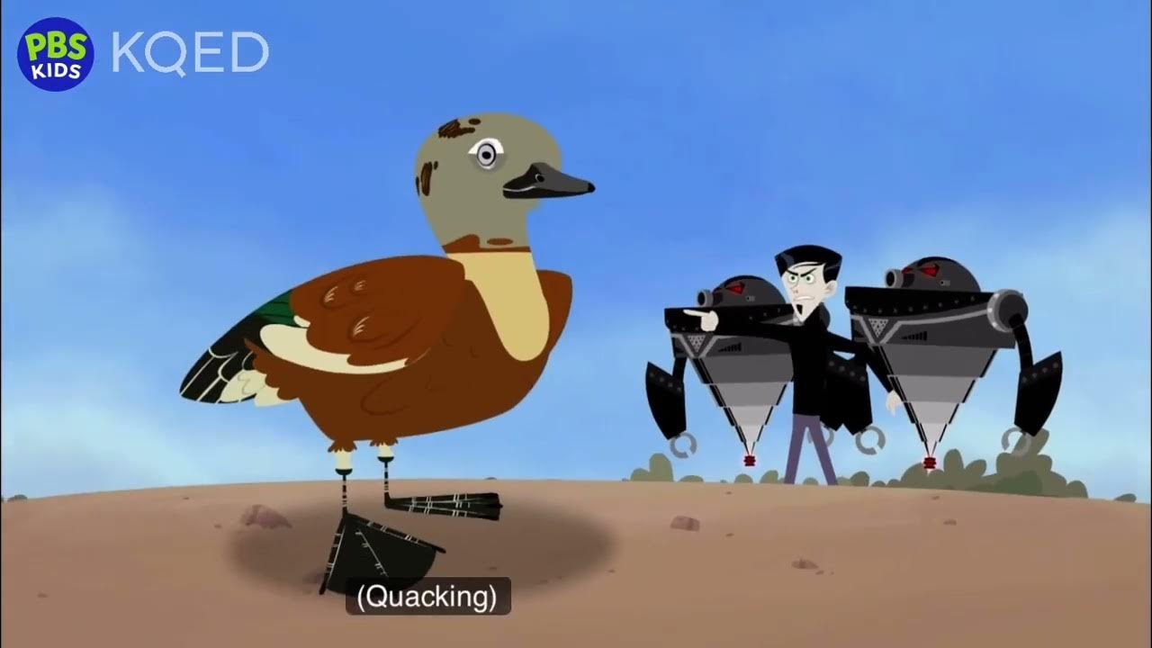 Wild Kratts - Aardvark Town - full episode - YouTube