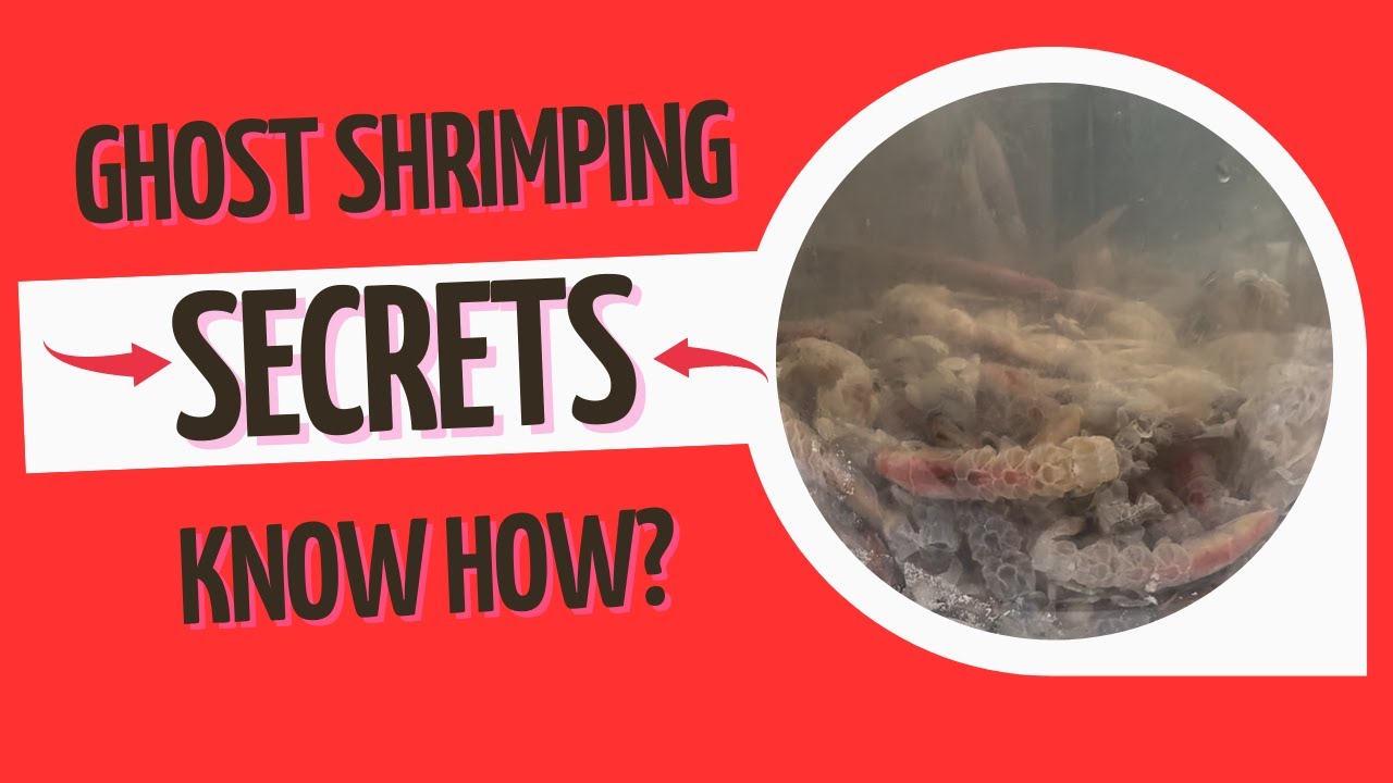 Fishing Hack that will Forever Change your fishing outcomes. How to ...