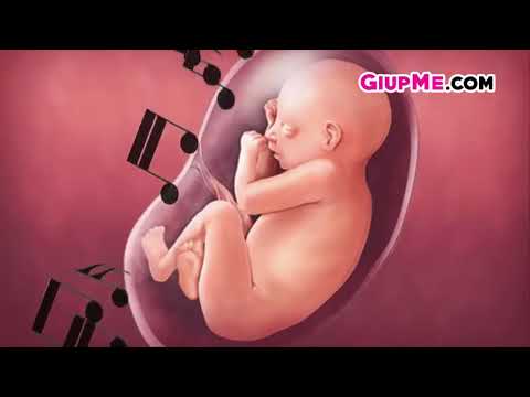 Лучшая музыка для плода для всестороннего развития мозга