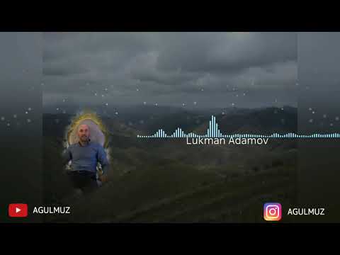 Лукман Адамов -(2019)