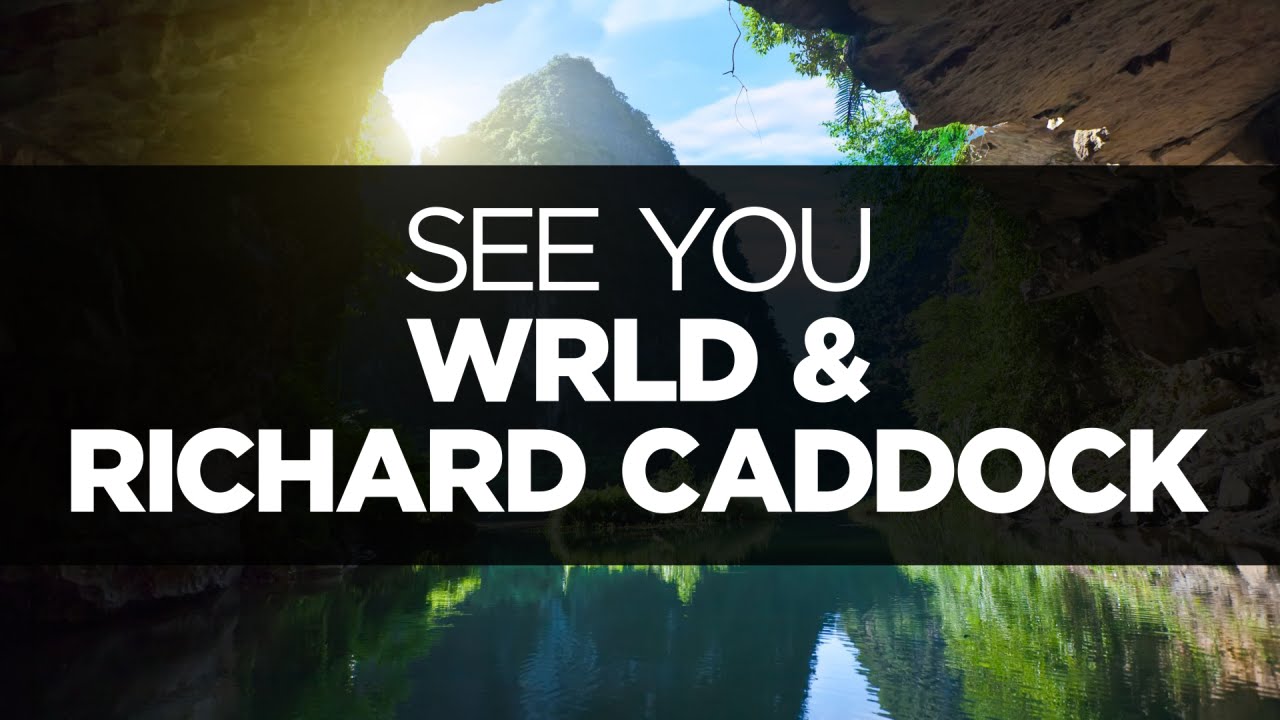 [LYRICS] WRLD & Richard Caddock - See You - YouTube