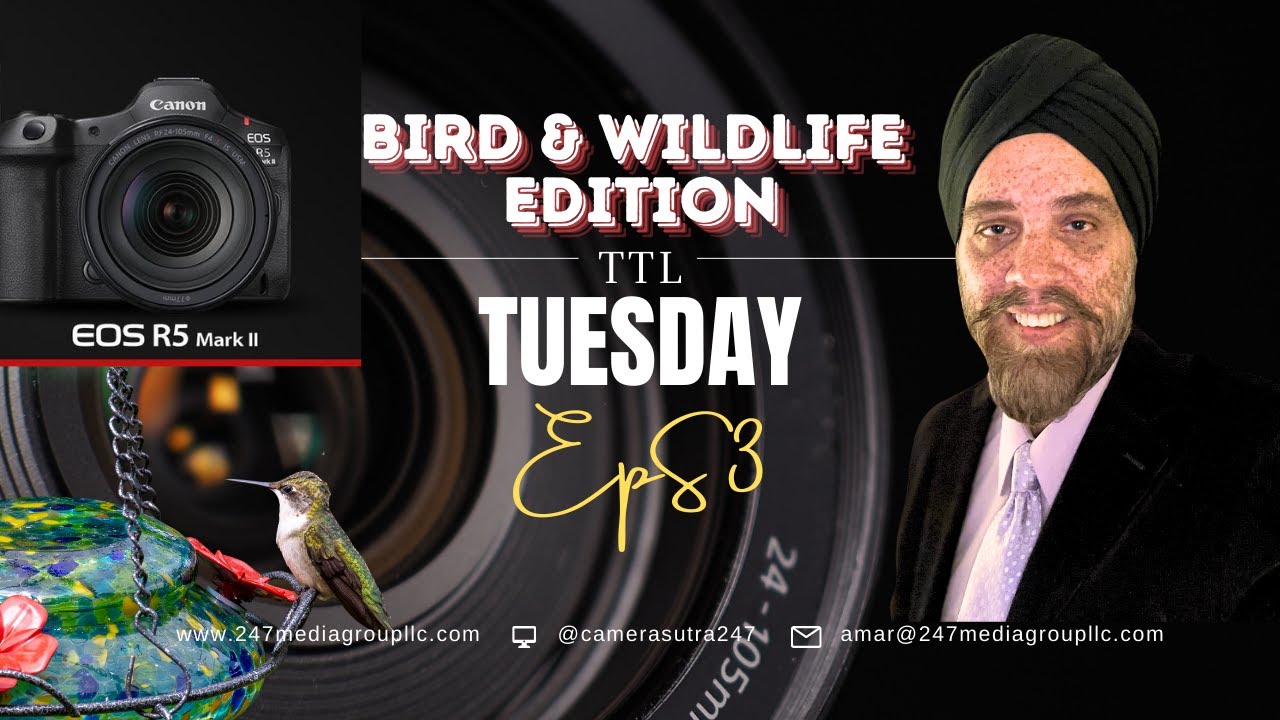 TTL Tuesday Episode 4 | Respecting Nature in Bird and Wildlife ...