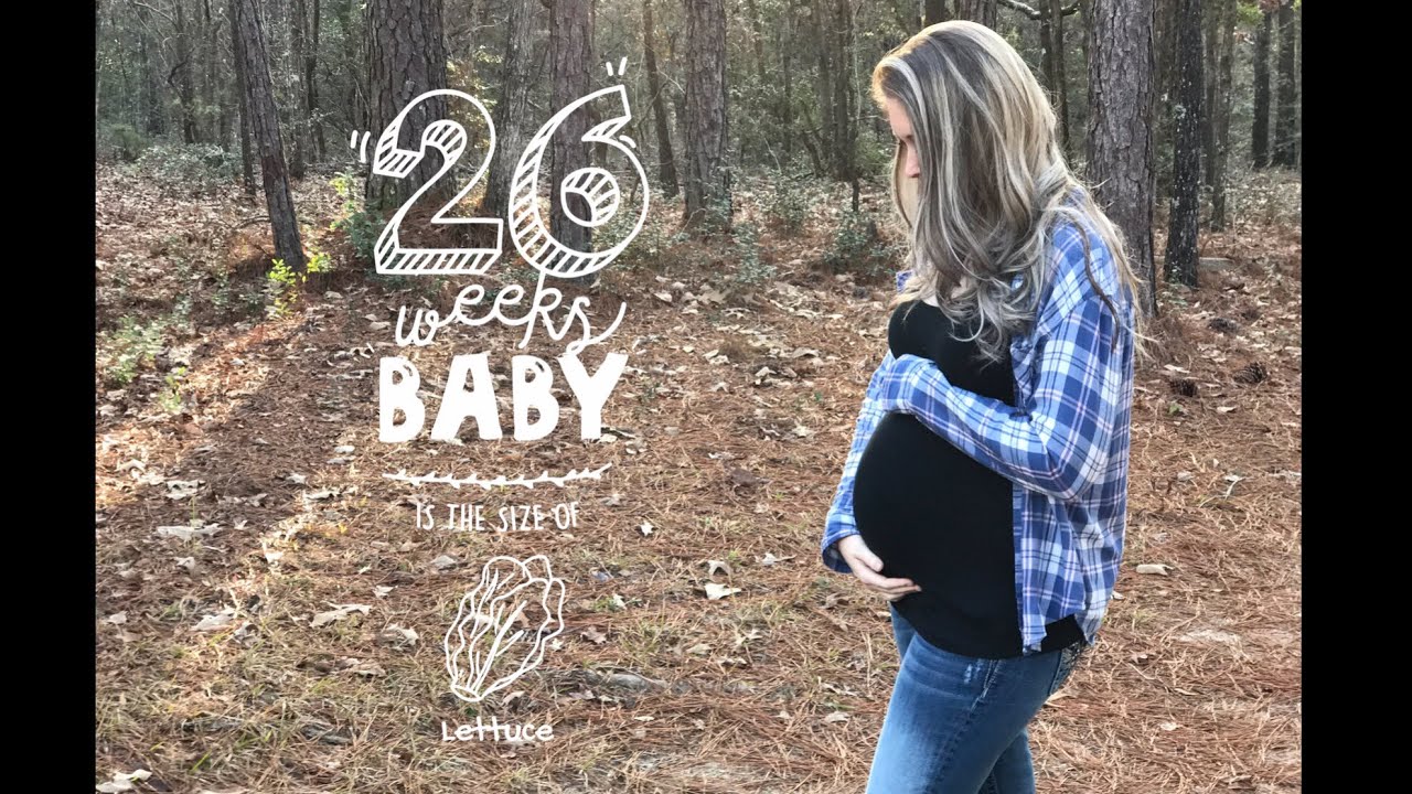 26 WEEK BUMPDATE | ITS GETTING DIFFICULT - YouTube