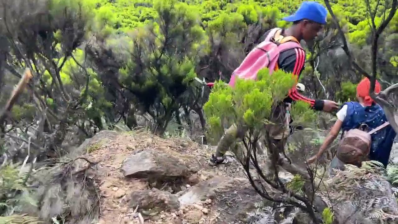 Comores Grande Comore Descente dans le cratère du volcan Le Karthala ...