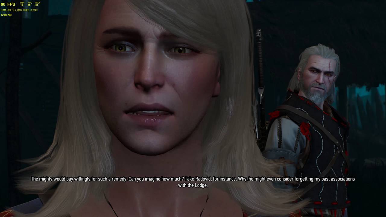 The Witcher 3 HQ - Storyline Part 8 - Pellar & Metz - YouTube