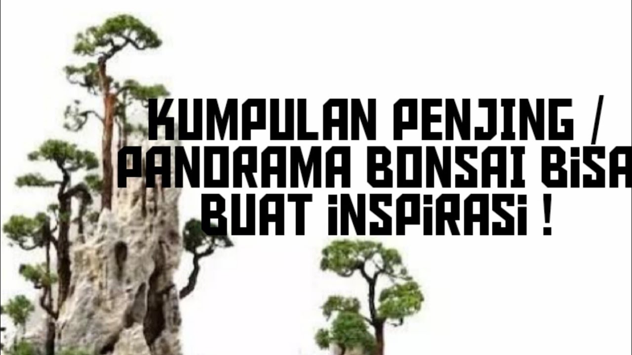 Contoh Bonsai Penjing / panorama | cocok buat inspirasi - YouTube