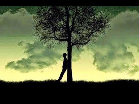 Statusno.1whatsaapstatus//Na sad hone pe depi hata yenge/किसी को मनाने के लिए स्टेटस लगाएंगे #shorts