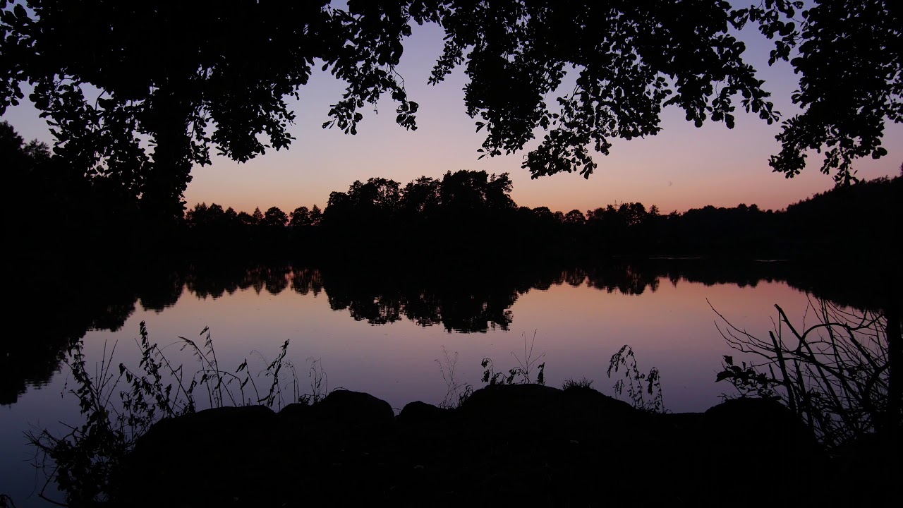 4K Setting sun over pond - Relax video - YouTube