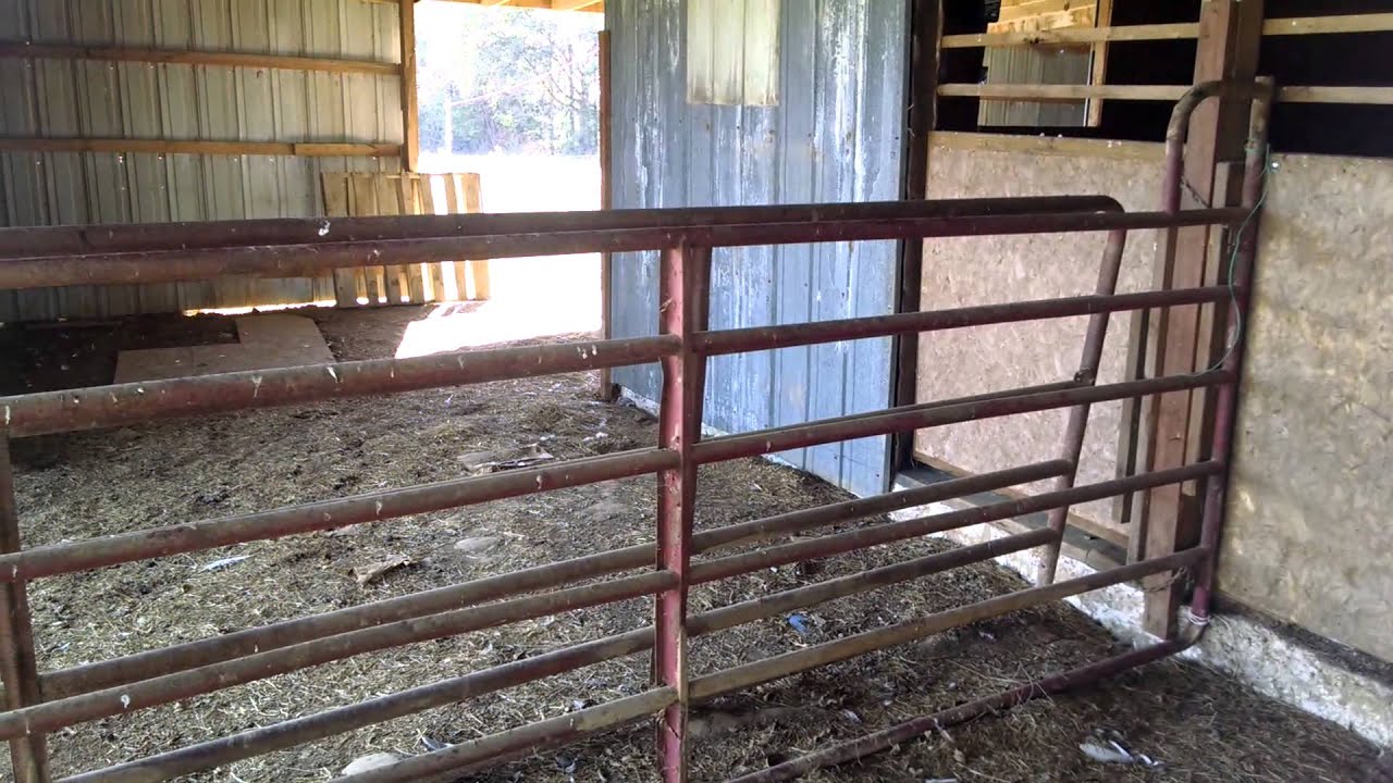"How to raise pigs on a small homestead" Part 1 - YouTube