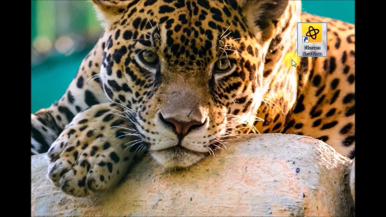 How to Update Norton Antivirus - YouTube