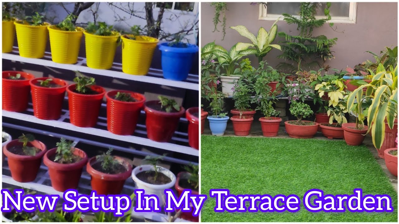 My Terrace Garden New Setup Ready/New Setup Terrace Garden/Rooftop ...