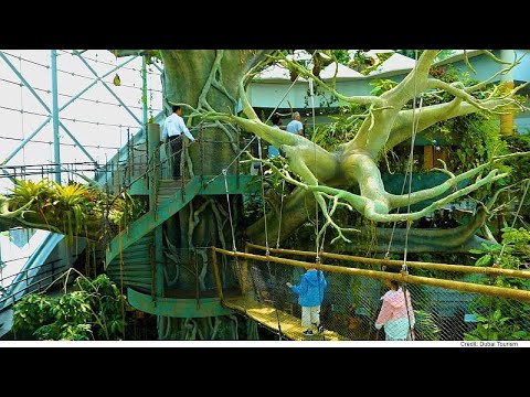 Dubai'nin iç mekan eğlence alternatifleri yaz sıcağında serin bir mola imkanı sunuyor