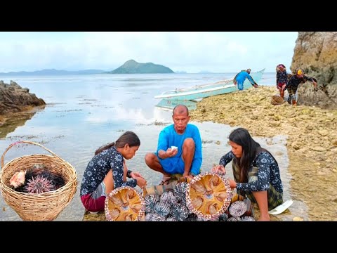 TUYOM (SEA URCHIN) ADVENTURE - YouTube