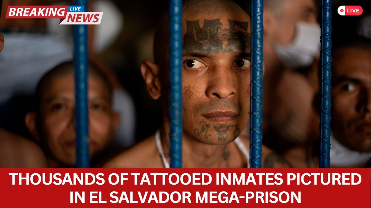 Thousands of tattooed inmates pictured in El Salvador mega-prison # ...