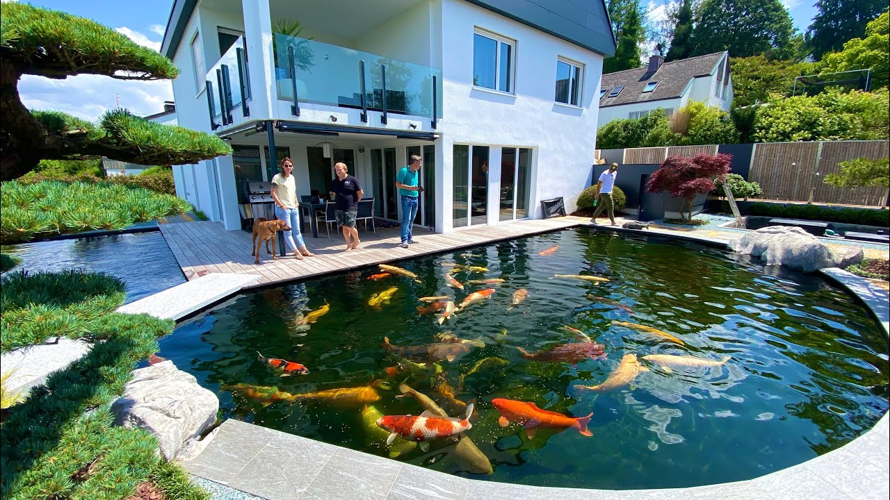 This is Switzerland's most VALUABLE fish collection! - YouTube
