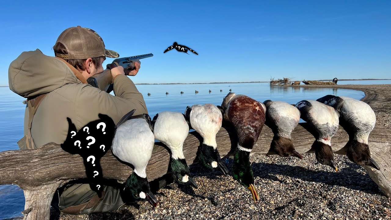 I Went DUCK HUNTING on a SECRET ISLAND! (RARE DUCK) - YouTube