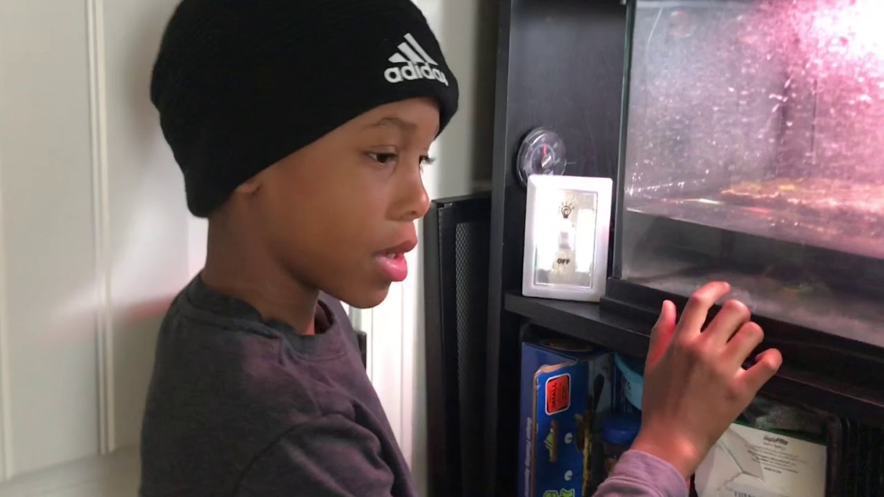 Room tour 🔥🔥🔥🔥 - YouTube