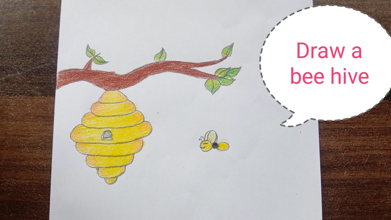 How to draw a Bee hive | Step by step - YouTube