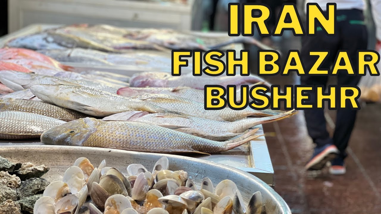 IRAN 4K | FISH BAZAAR | BUSHEHR - YouTube