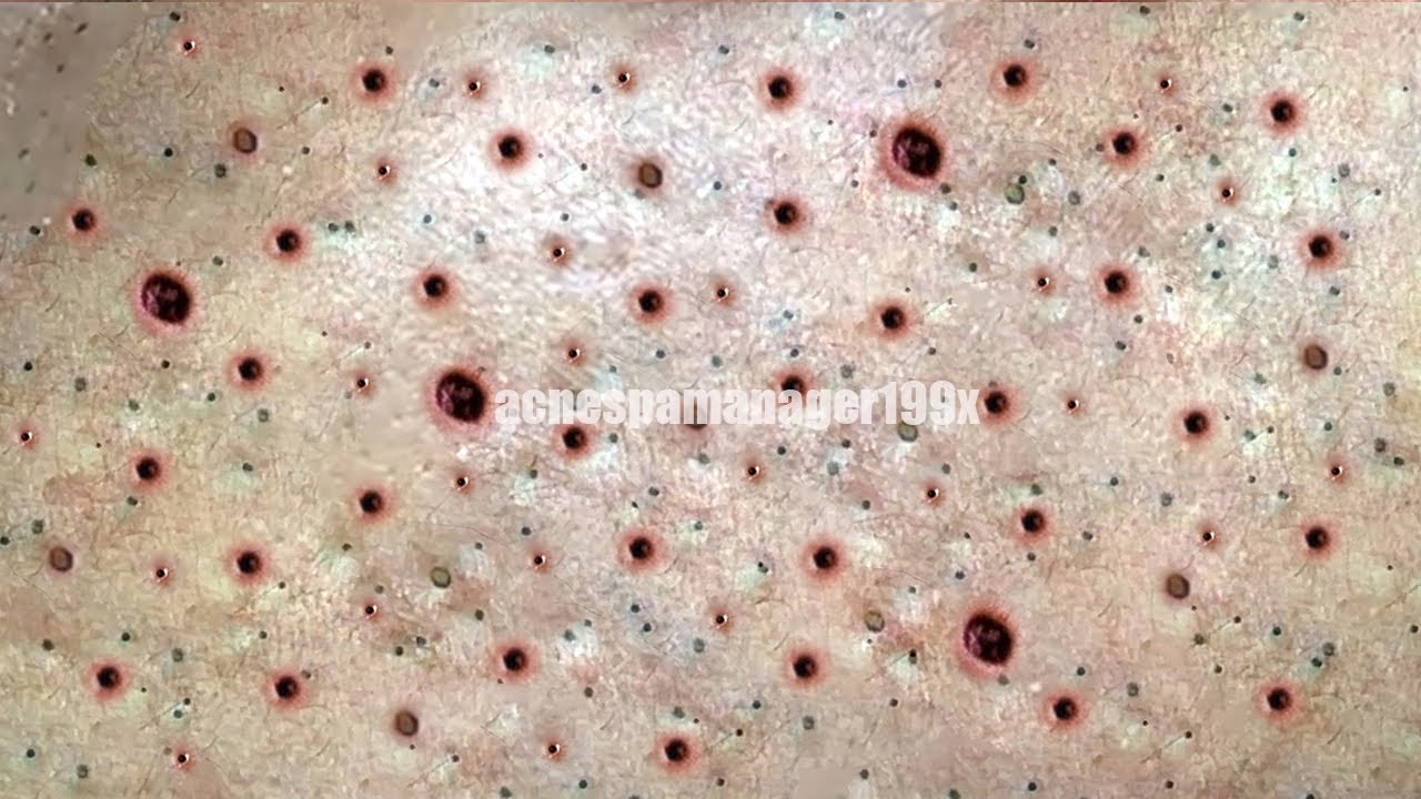 𝐀 𝐖𝐨𝐧𝐝𝐞𝐫𝐟𝐮𝐥 𝐃𝐚𝐲 | 𝟏𝟔𝟖 - YouTube