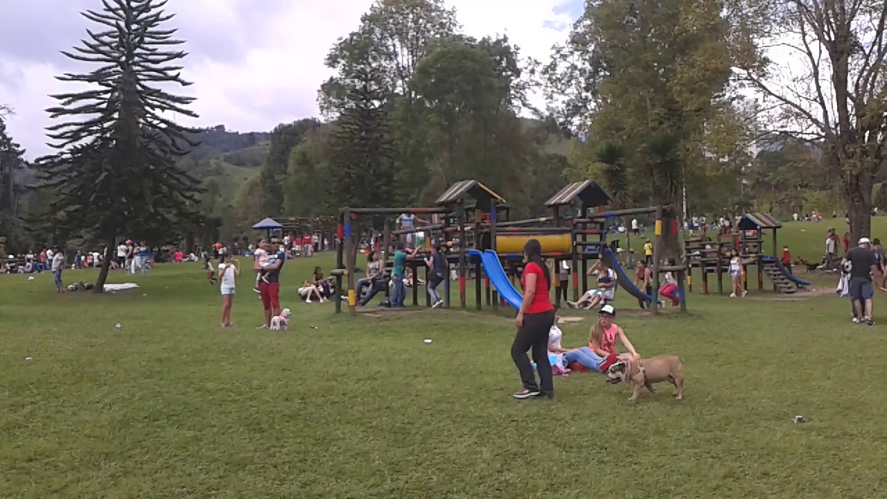 Manizales - Bosque Popular el Prado - YouTube