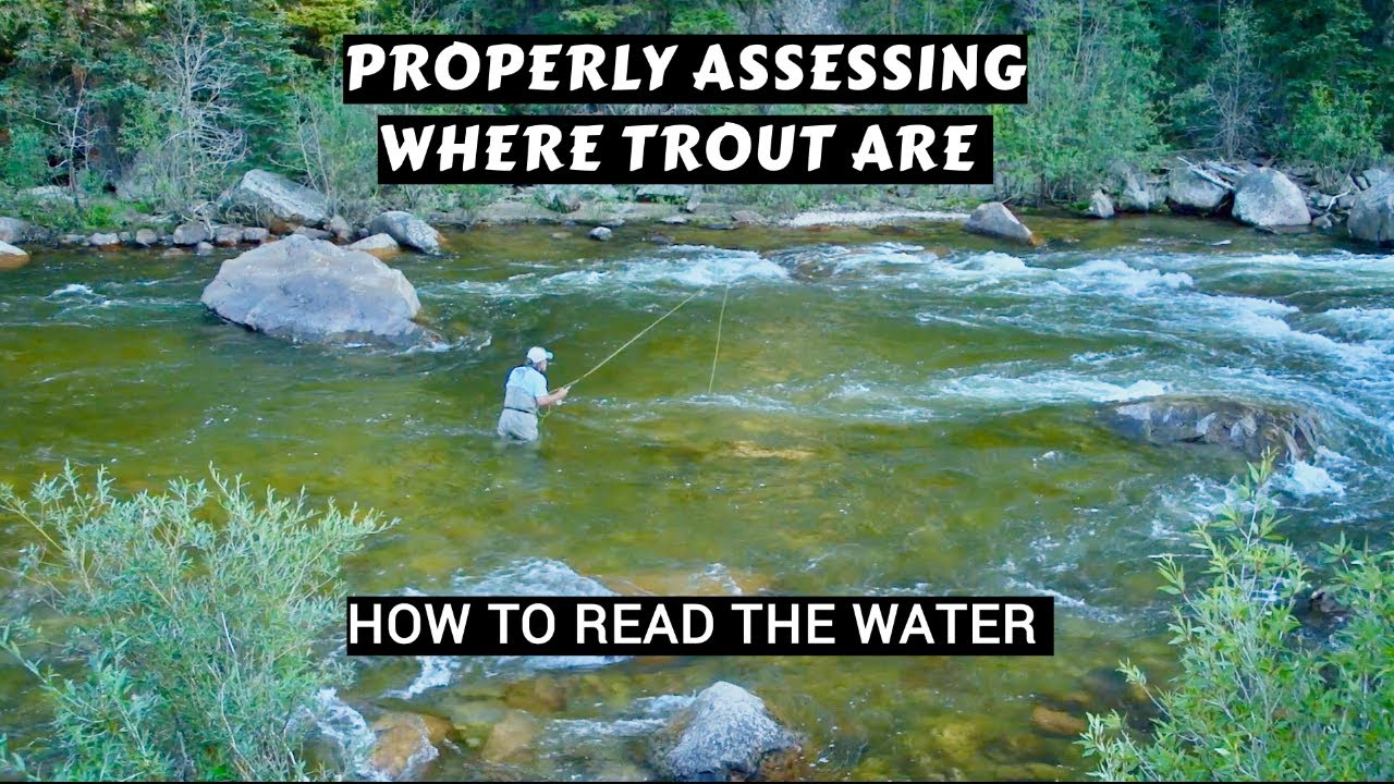 How to Assess Where Trout Are in a River - YouTube
