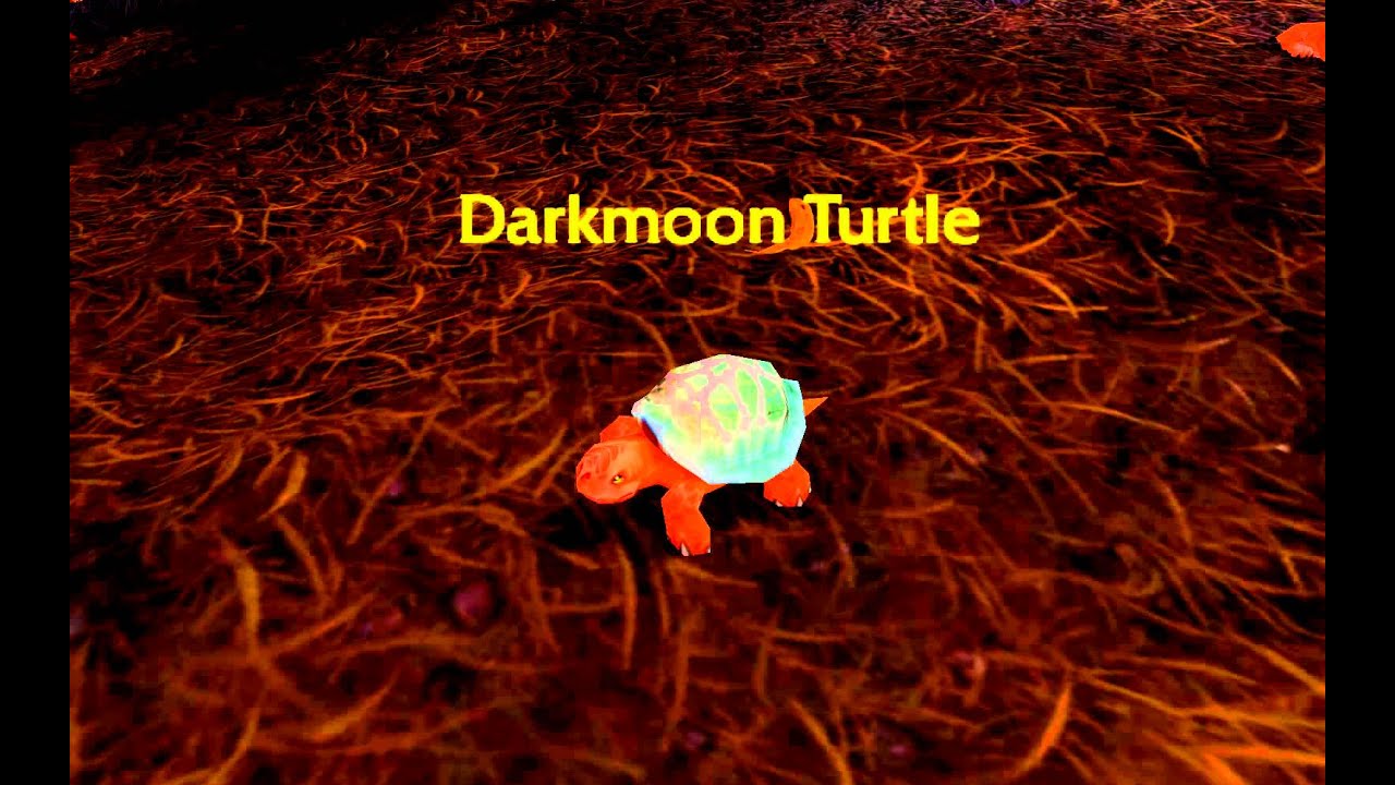 Darkmoon Turtle Pet : : WoW - YouTube