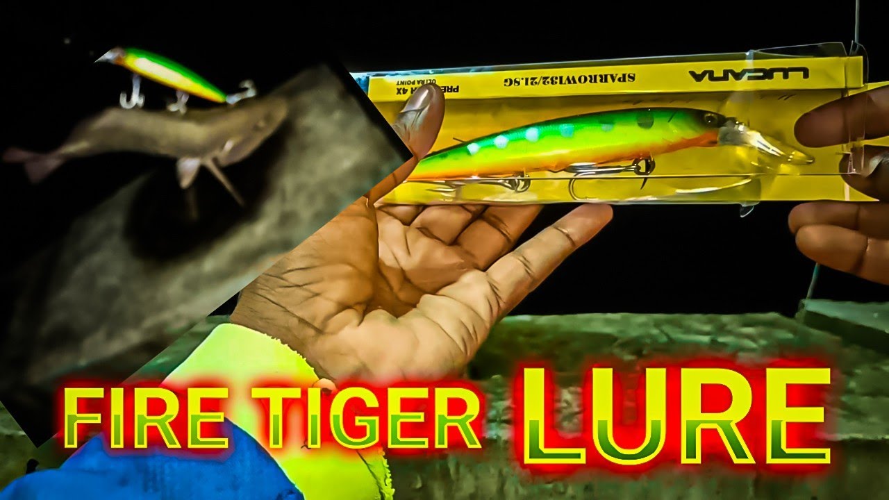 FIRE TIGER LURE 🐬🐬🐬🐬🐬🐬പൊളി RESULT 🐟🐟🐟🐋🐋🐋🐬🐬🐬 - YouTube